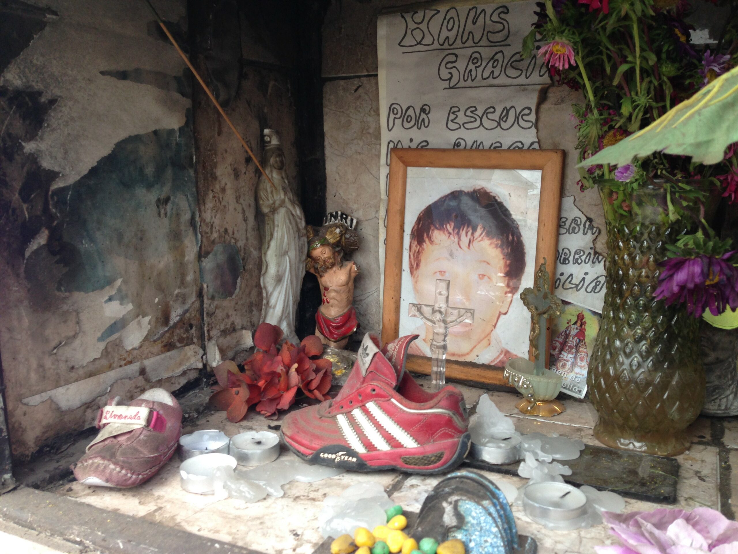 Incorporan a Hans Pozo a listado de crímenes de odio en Chile: Tras 15 ...