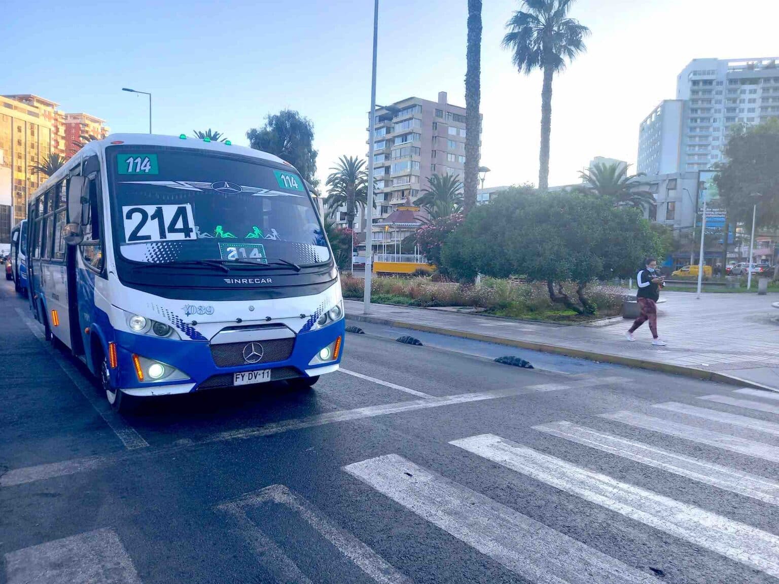 Lanzan nueva línea de transporte público con recorrido directo en ...